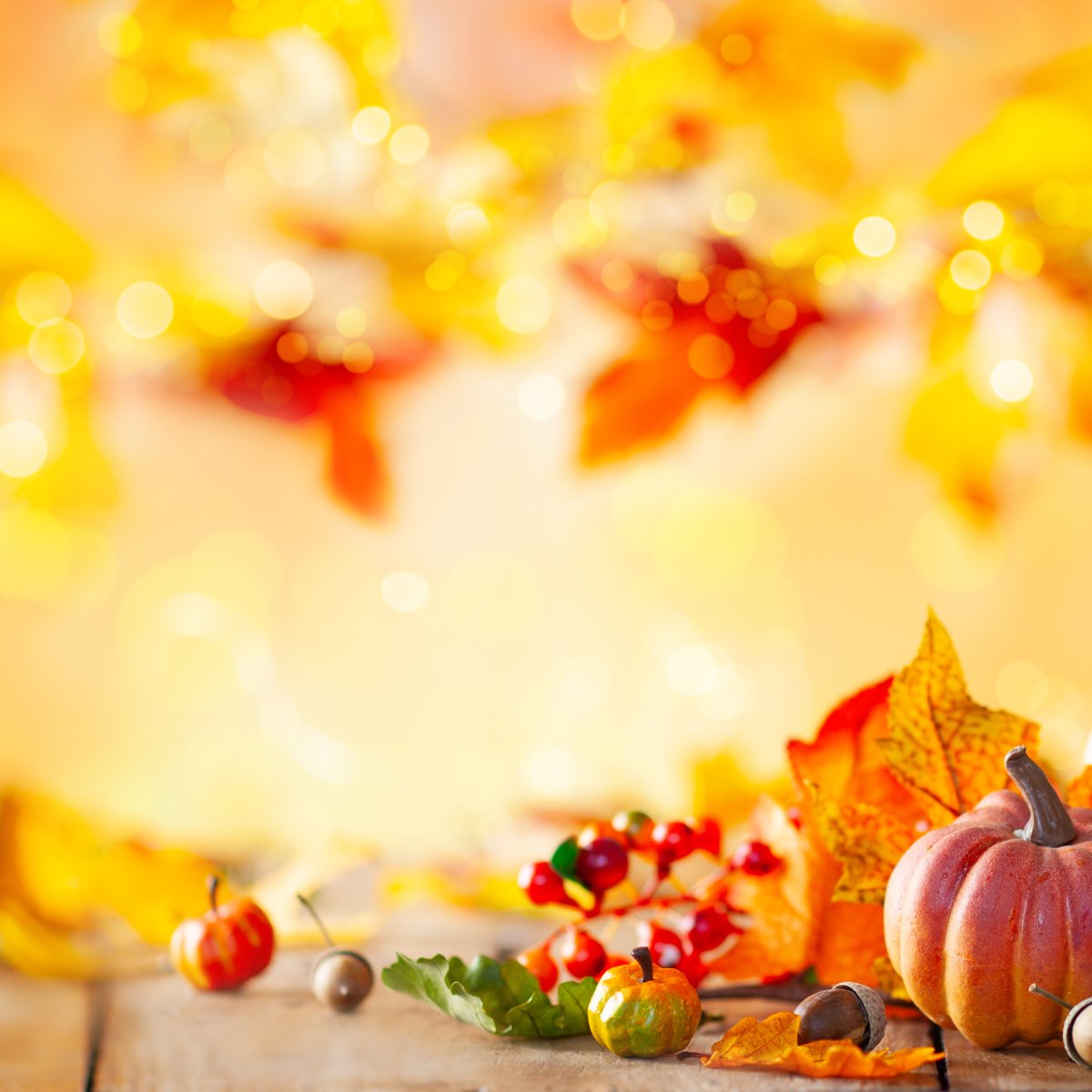 Thanksgiving – Lady Gryphon Shop