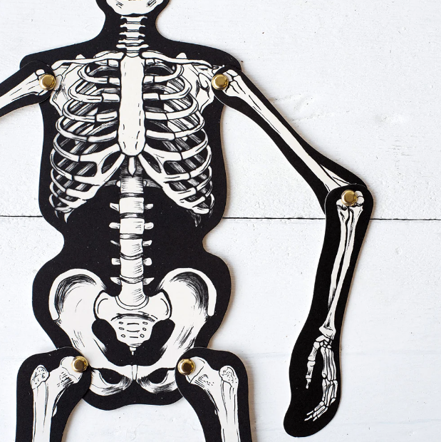Articulated Skeleton Table Accent – Lady Gryphon Shop