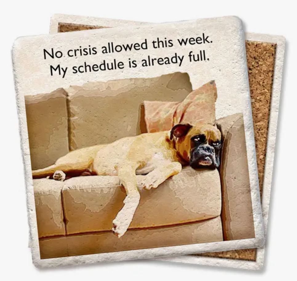 "No Crisis Allowed" Coaster – Lady Gryphon Shop